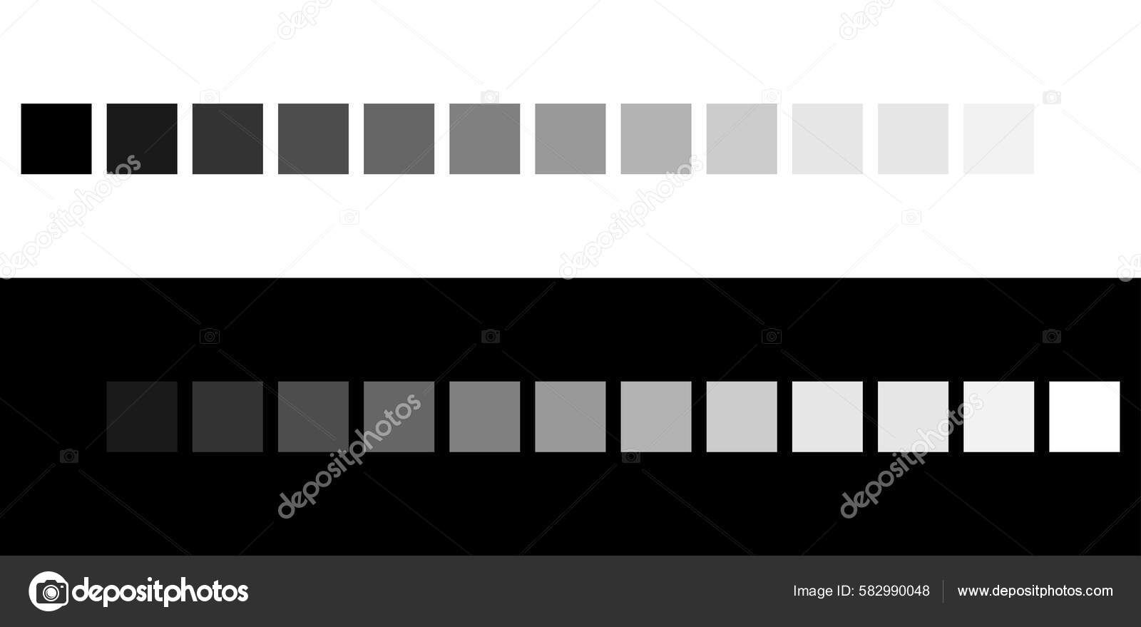 Black White Greyscale Color Palette Diagram Sampler Stock Vector by ...