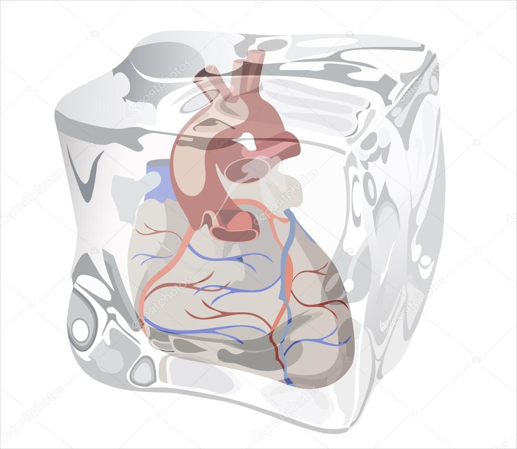Frozen Human Heart Drawing