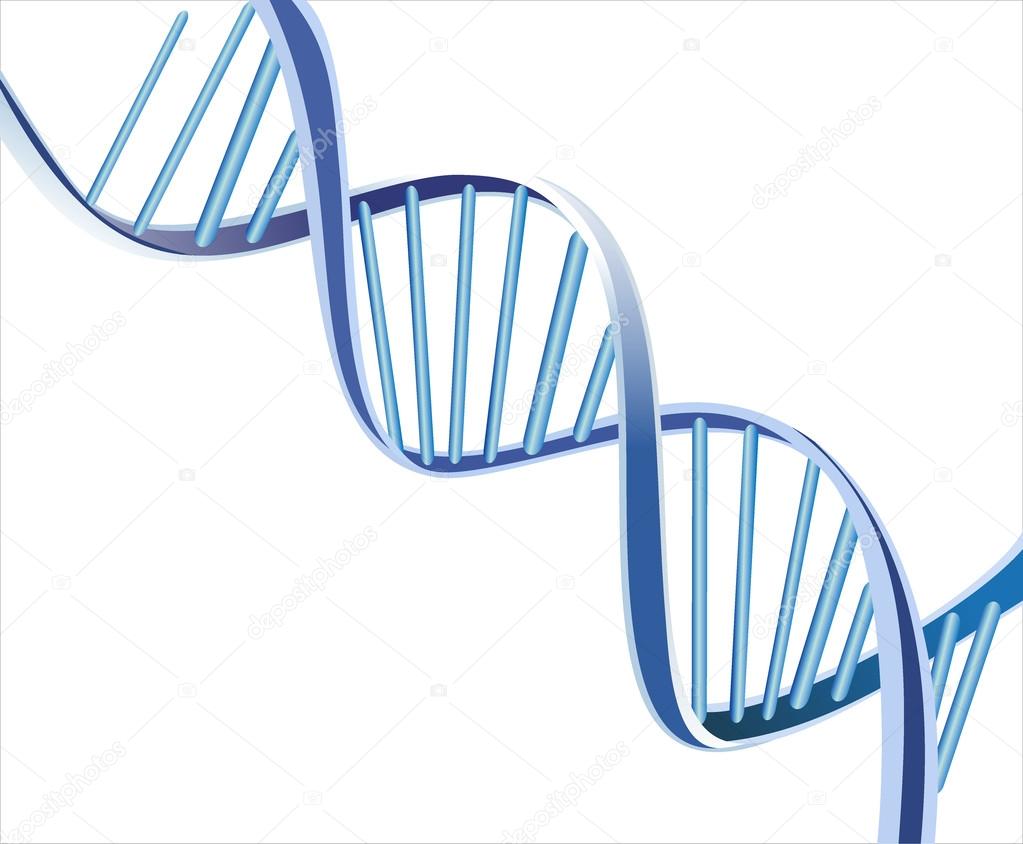 DNA sign Stock Vector by ©mitay20 25141017