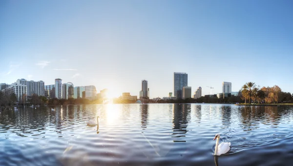 ᐈ Orlando cityscape stock photos, Royalty Free orlando florida skyline ...