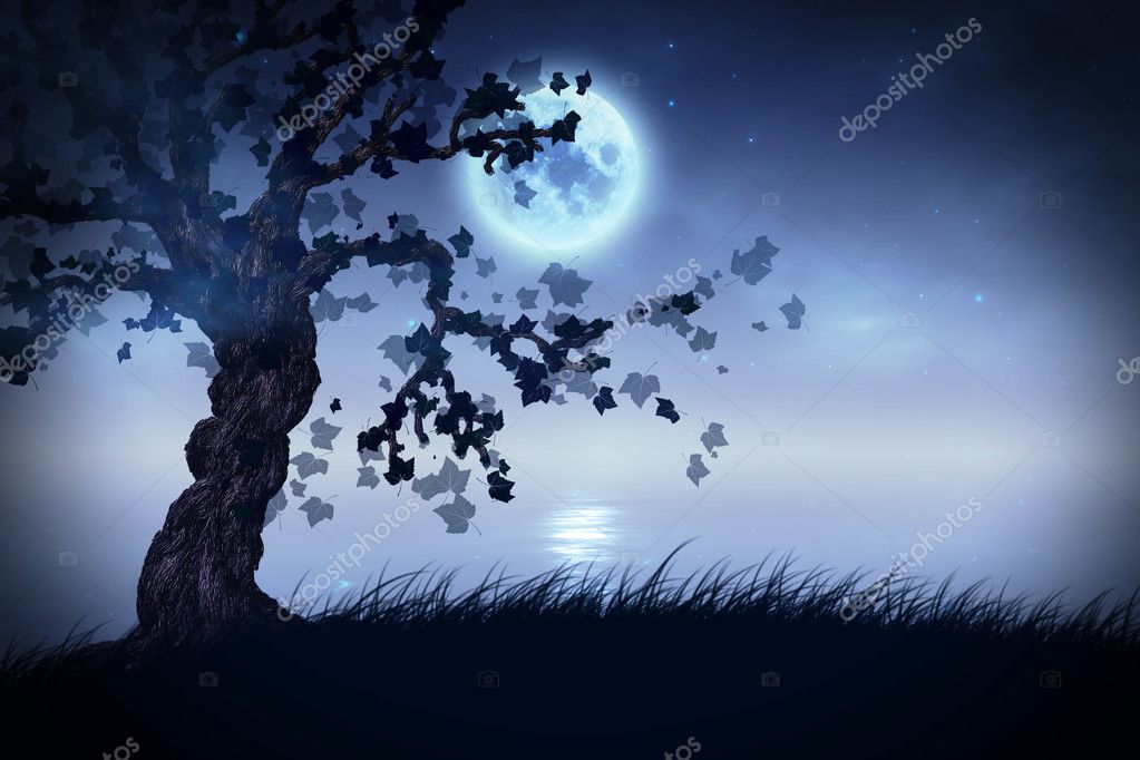 Night tree Stock Photo by ©artshock 13611113