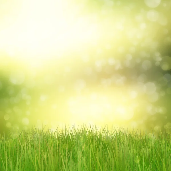 Green nature background — Stock Photo © jonson #20692479