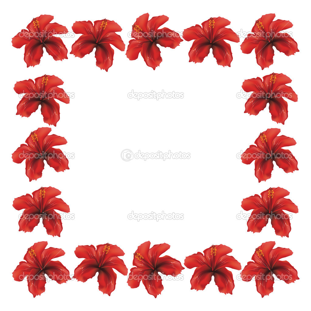 Red Hibiscus Border