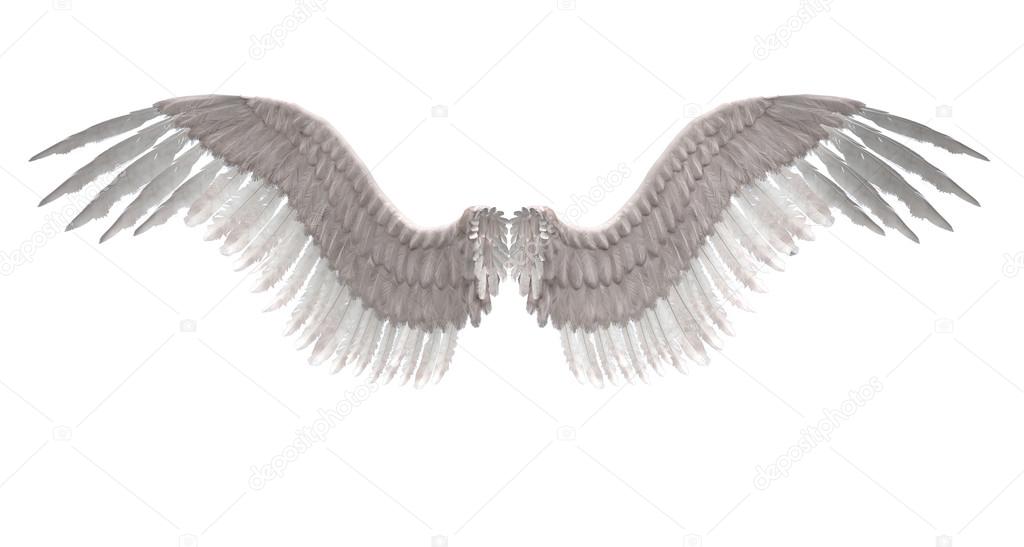 Angel wings — Stock Photo © artshock #27644359