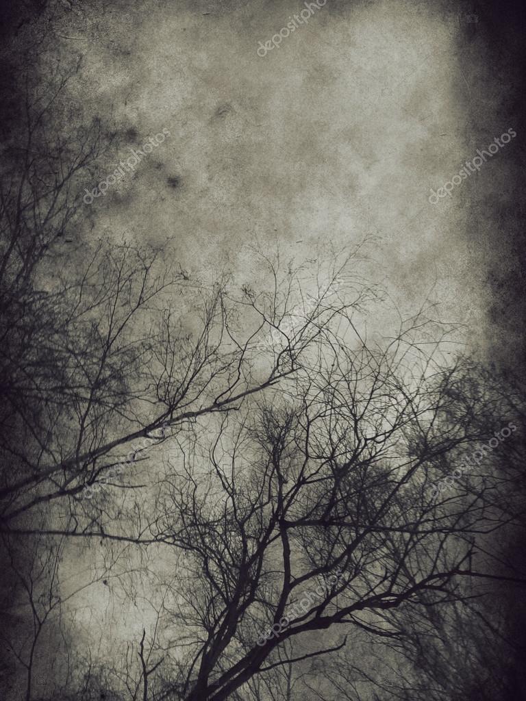 Dark trees Stock Photo by ©artshock 40787583