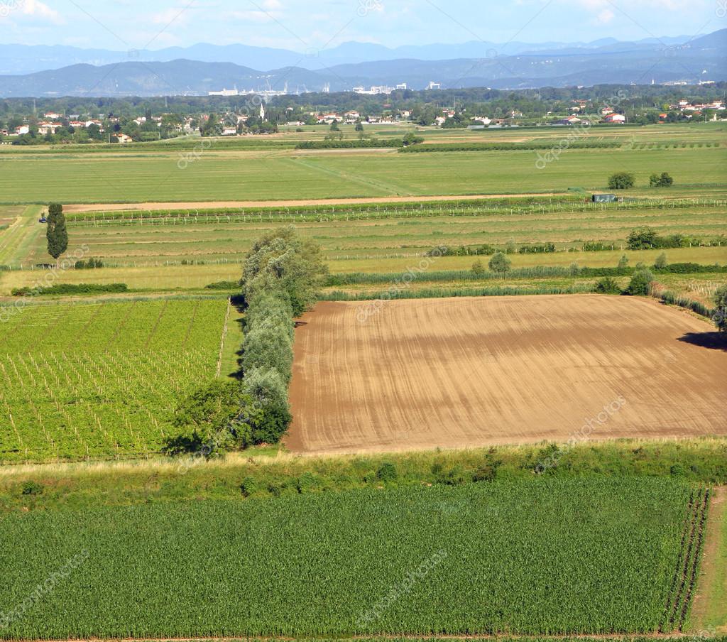 Vista aerea dall'alto della pianura con i campi coltivati - Foto Stock ...