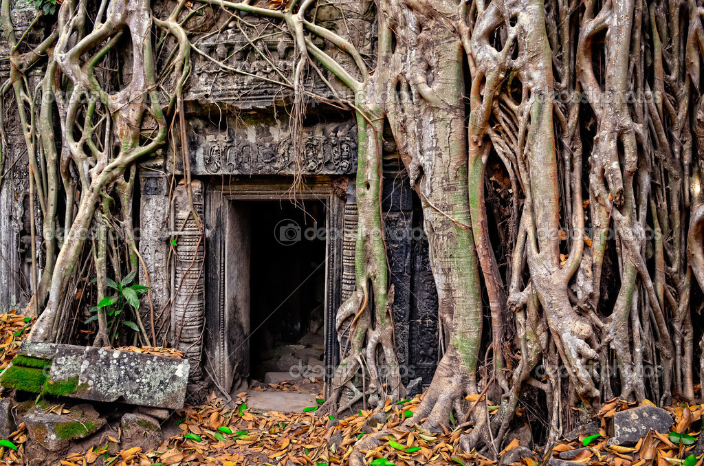 Ancient stone temple door and tree roots Stock Photo by ©martinm303 ...