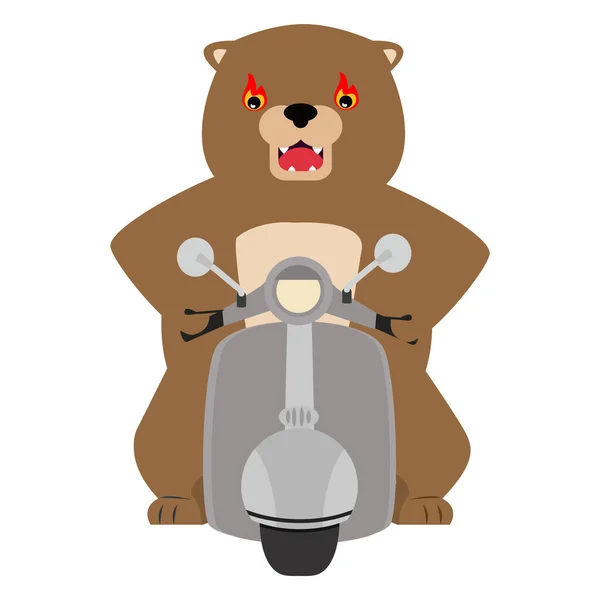 Motorcycle hare Vector Art Stock Images | Depositphotos