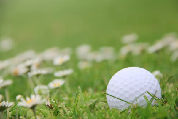 Golf flowers Stock Photos, Royalty Free Golf flowers Images | Depositphotos