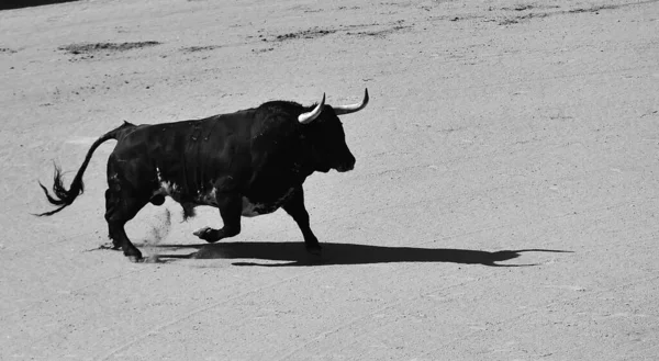 La toura de argentina Stock Photos, Royalty Free La toura de argentina ...