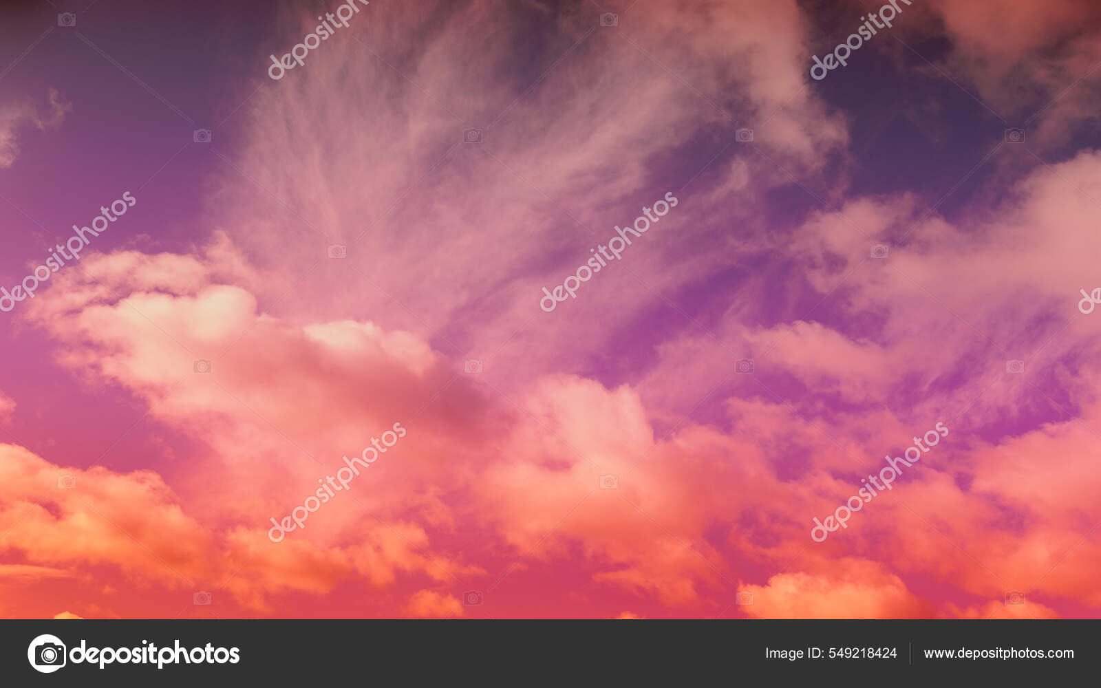 Fondo De Pantalla De Sol Y Rosas Fondo Una Hermosa Puesta De Sol Rosa