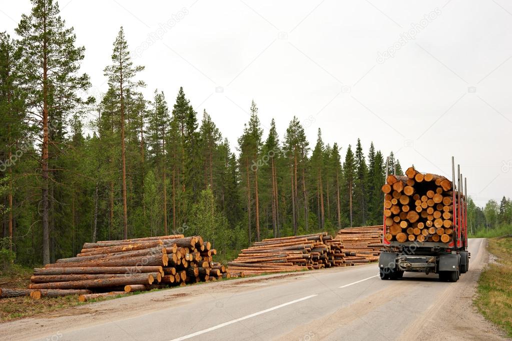 Timber — Stock Photo © PinkBadger #26430363