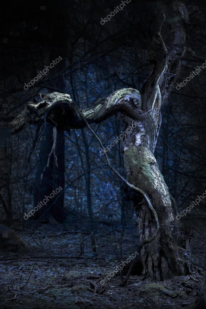 Spooky old tree Stock Photo by ©PinkBadger 51432413