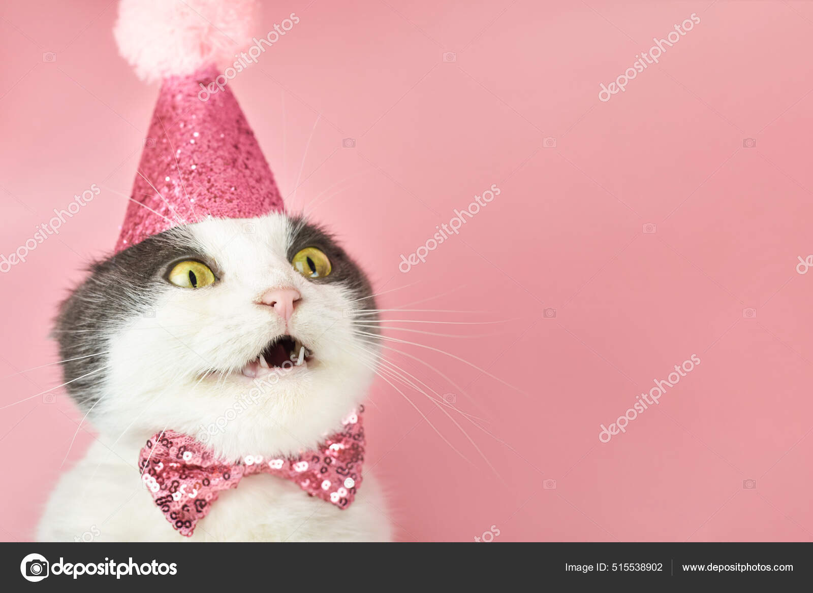 Cute Cat With Birthday Hat