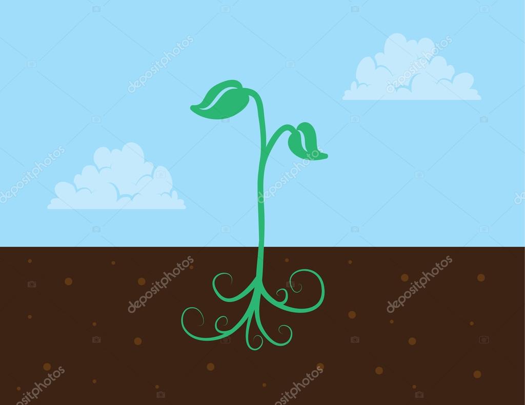 Plant Small Roots Stock Vector Image by ©milo827 #25317985
