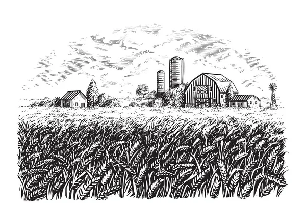 Clipart De Terras Agricolas Preto E Branco 19,096,004 Ilustrações De