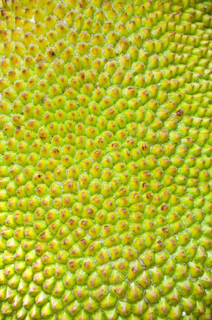 Texture background of Jackfruit Stock Photo by ©sayhmog 36302583