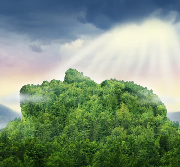 Human achievement Stock Photos, Royalty Free Human achievement Images ...