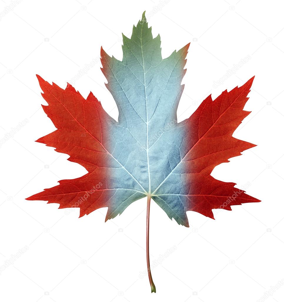 Canada Maple Leaf — Stock Photo © lightsource #12204265 Canada Maple Leaf — Stock Photo © lightsource #12204265