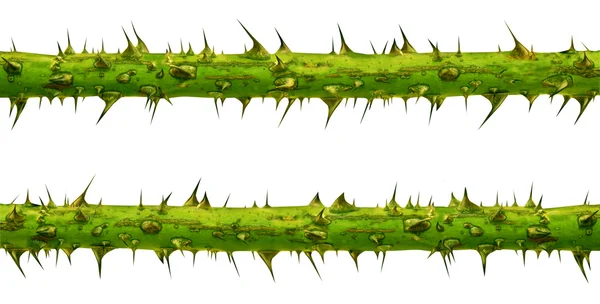 Thorn border Stock Photos, Royalty Free Thorn border Images | Depositphotos