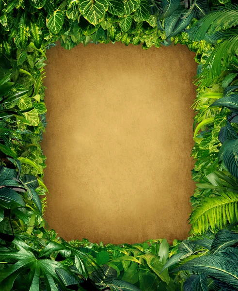 Jungle frame Images - Search Images on Everypixel
