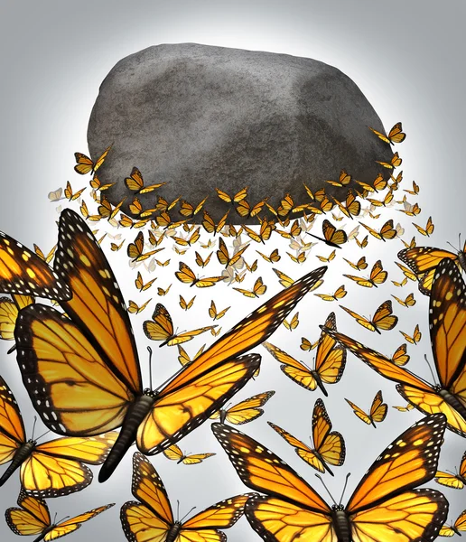 Monarch butterflies Stock Photos, Royalty Free Monarch butterflies ...