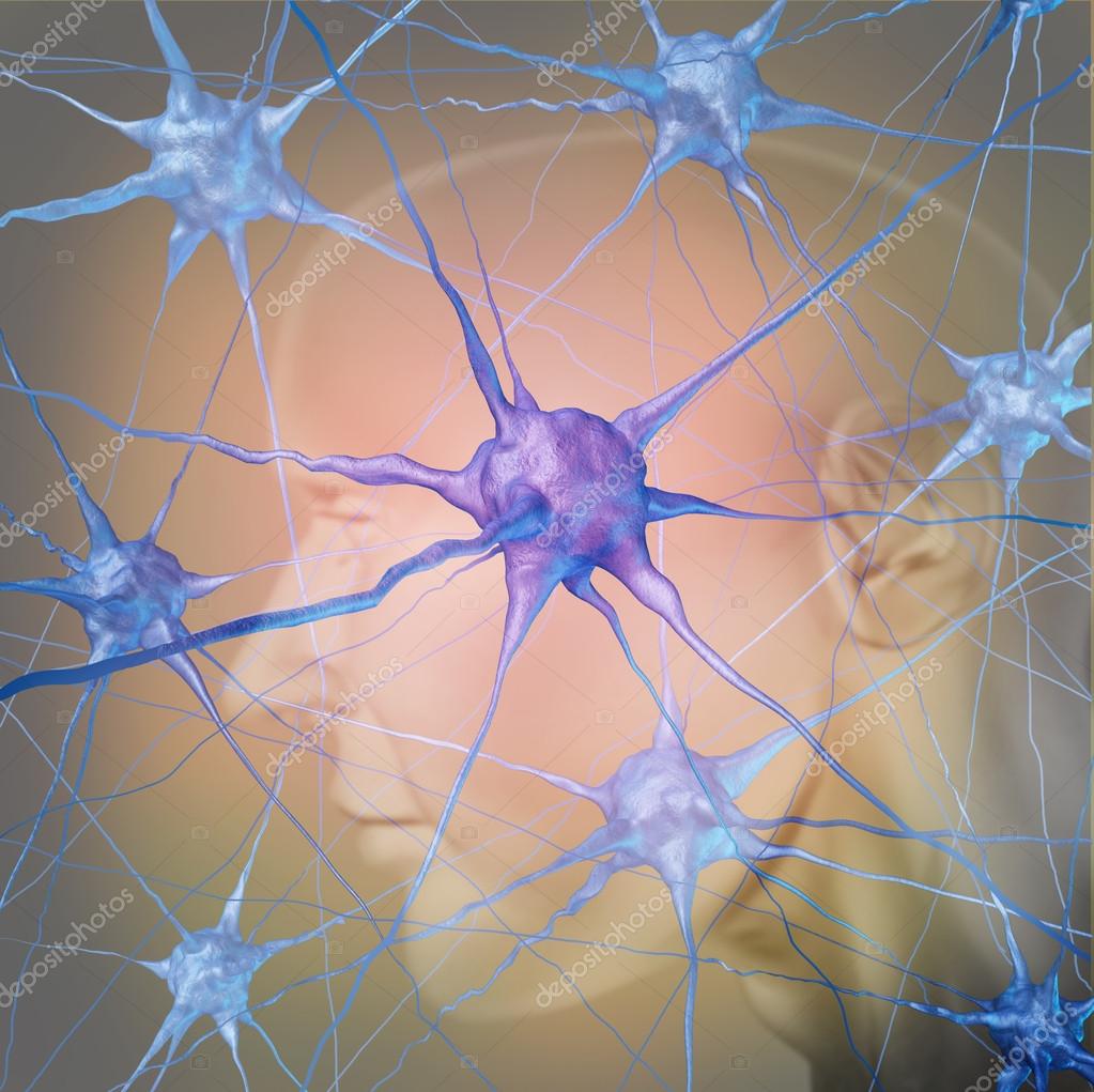 Human Neurons Stock Photo by ©lightsource 28185579