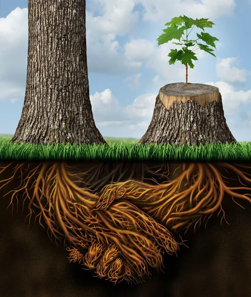 Revive Stock Photos, Royalty Free Revive Images | Depositphotos