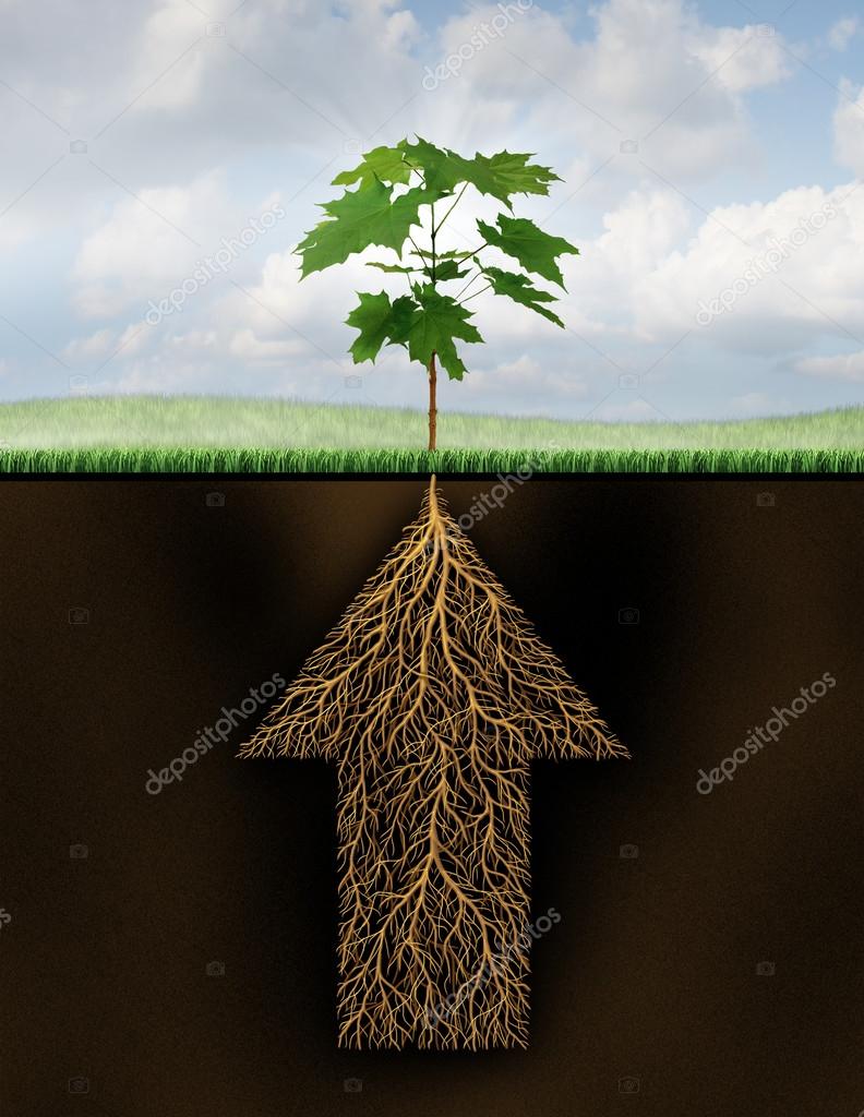 Root Of Success Stock Photo by ©lightsource 29660709