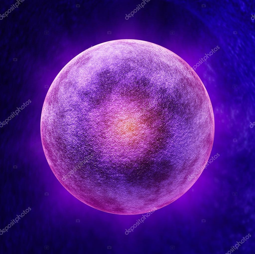 Human Egg Cell — Stock Photo © lightsource #34231267