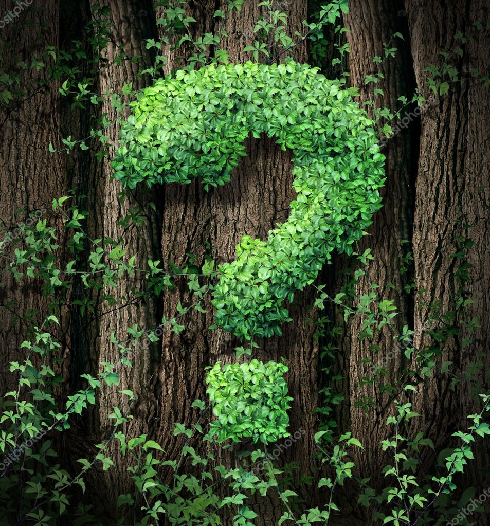 Environmental Conservation — Stock Photo © lightsource #34737123