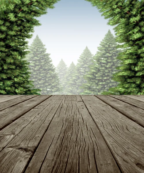 Forest frame Stock Photos, Royalty Free Forest frame Images | Depositphotos