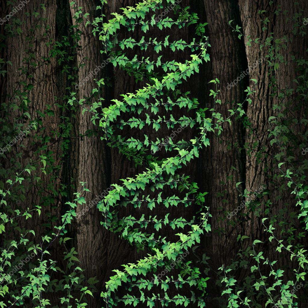 DNA Nature — Stock Photo © lightsource #36734299