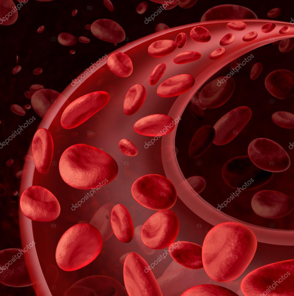 Blood Cells Circulation — Stock Photo © lightsource #39591439