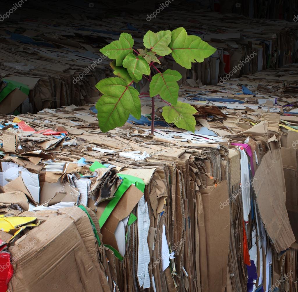 Eco Friendly Tree Stock Photo by ©lightsource 42786839