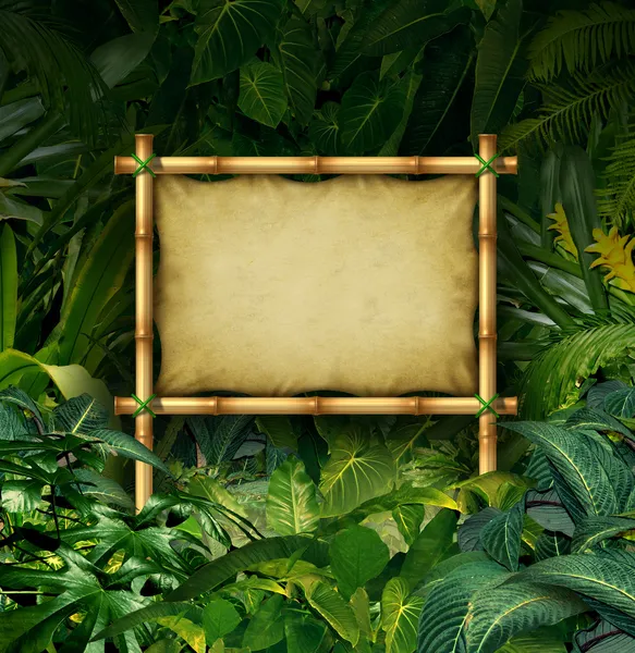 Jungle background Stock Photos, Royalty Free Jungle background Images ...
