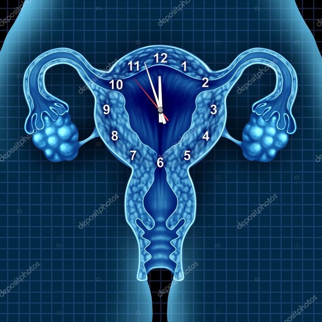 Biological Clock — Stock Photo © lightsource #45058811