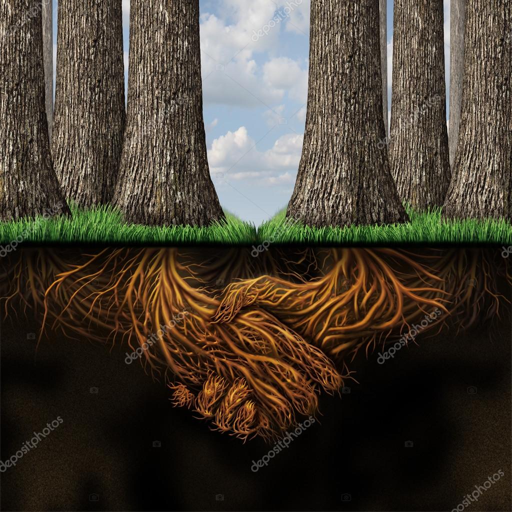 Team Agreement — Stock Photo © lightsource #48105775