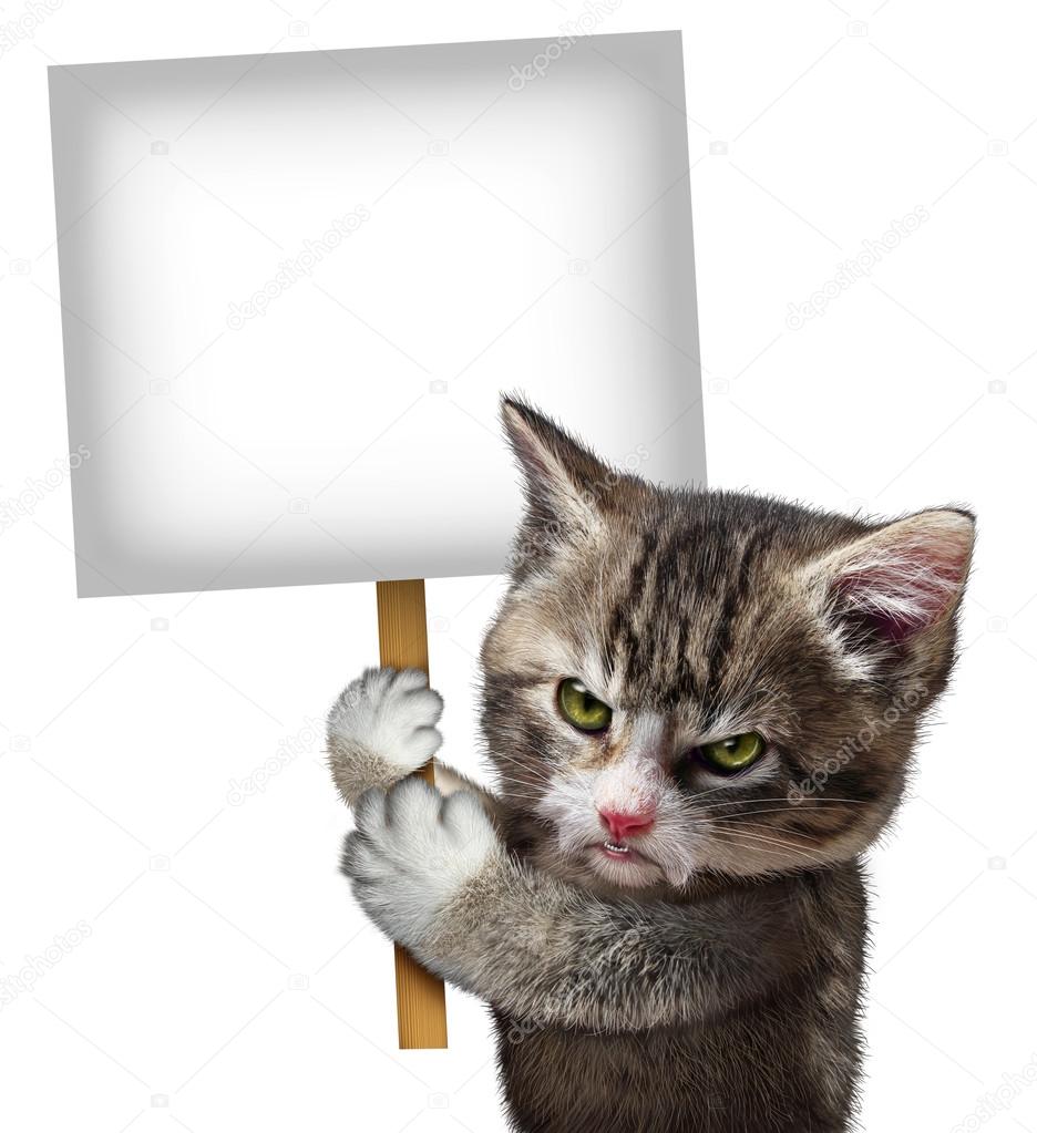 Angry Cat Holding Sign Stock Photo by ©lightsource 49226485
