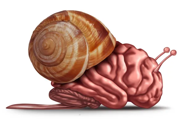 Slow thinking fotos de stock, imágenes de Slow thinking sin royalties ...