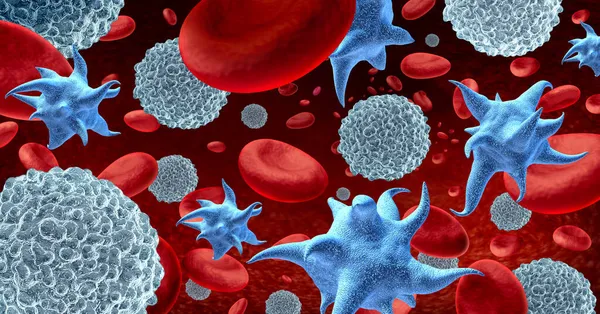 Platelet cells Stock Photos, Royalty Free Platelet cells Images ...