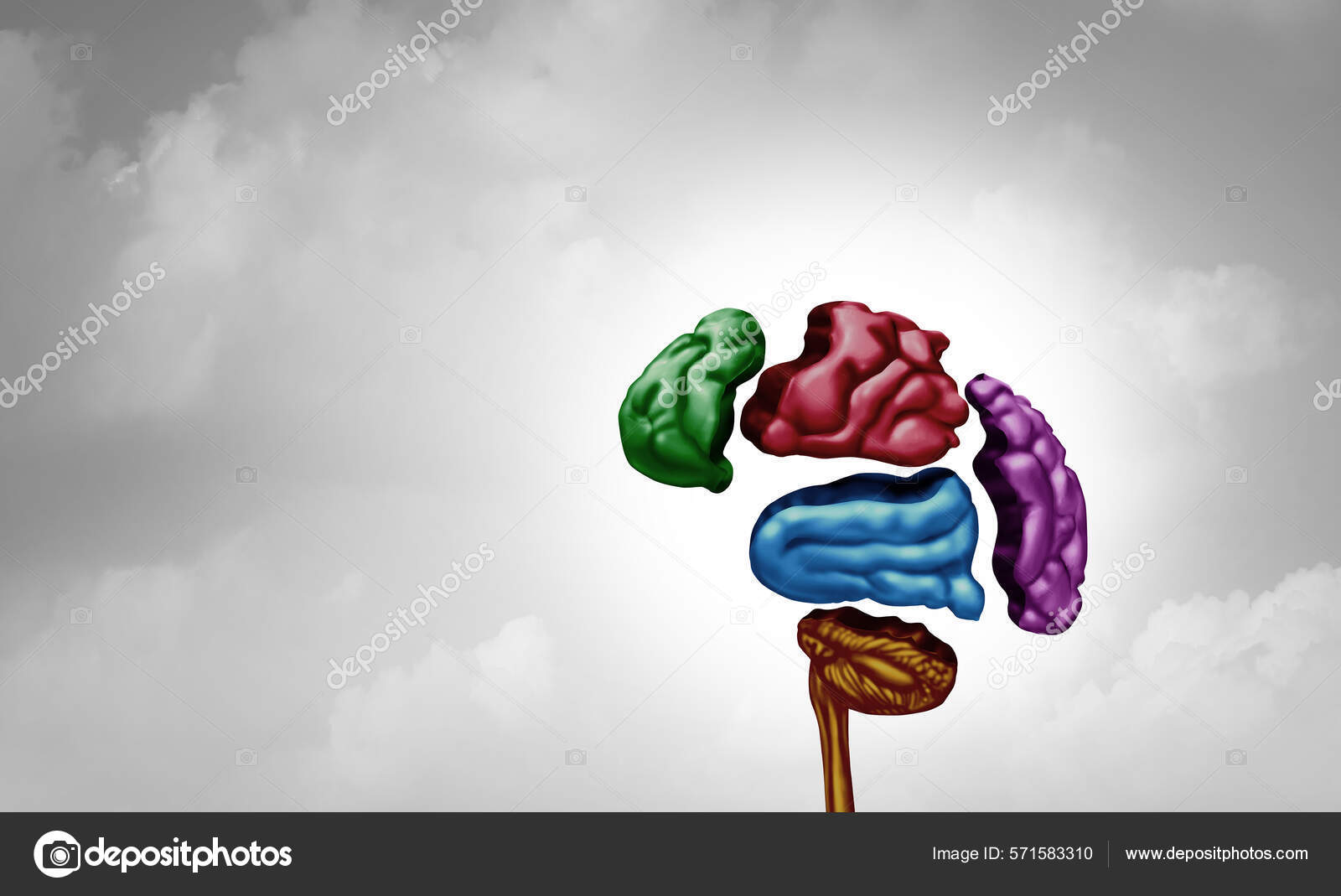 Brain Disorders Mental Illness Psychology Psychiatry Concept Human ...