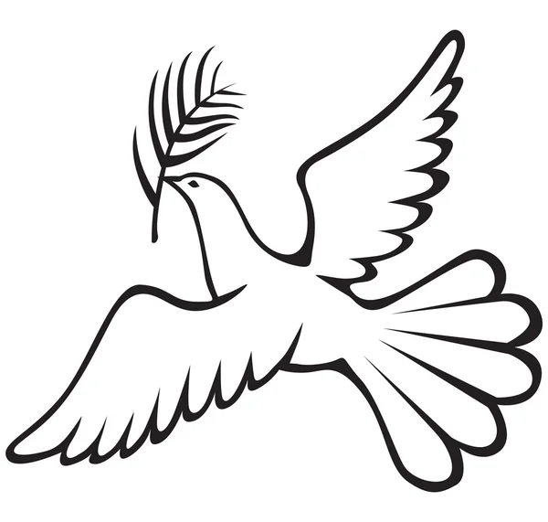 Duif met palmtak vectors, rechtenvrije vectorafbeeldingen van Duif met ...