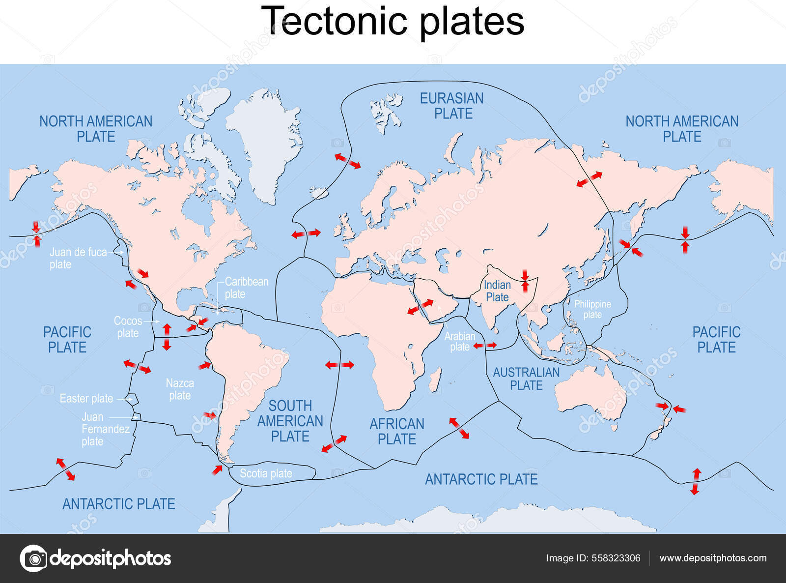 Map Earth's Principal Tectonic Plates Earth's Lithosphere Major Minor ...