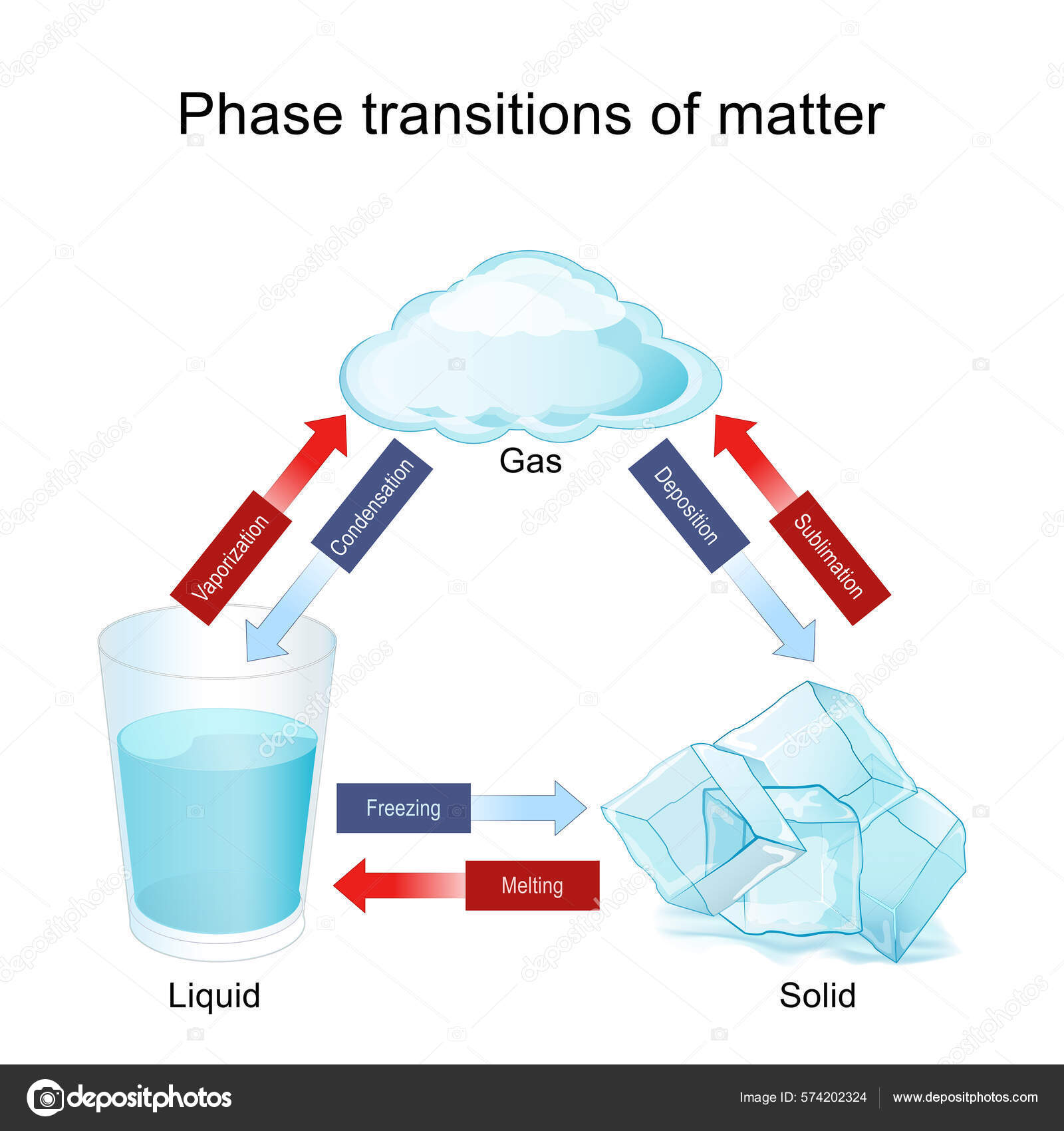 Phase Transitions Matter Example Water Diagram Shows Changing State ...