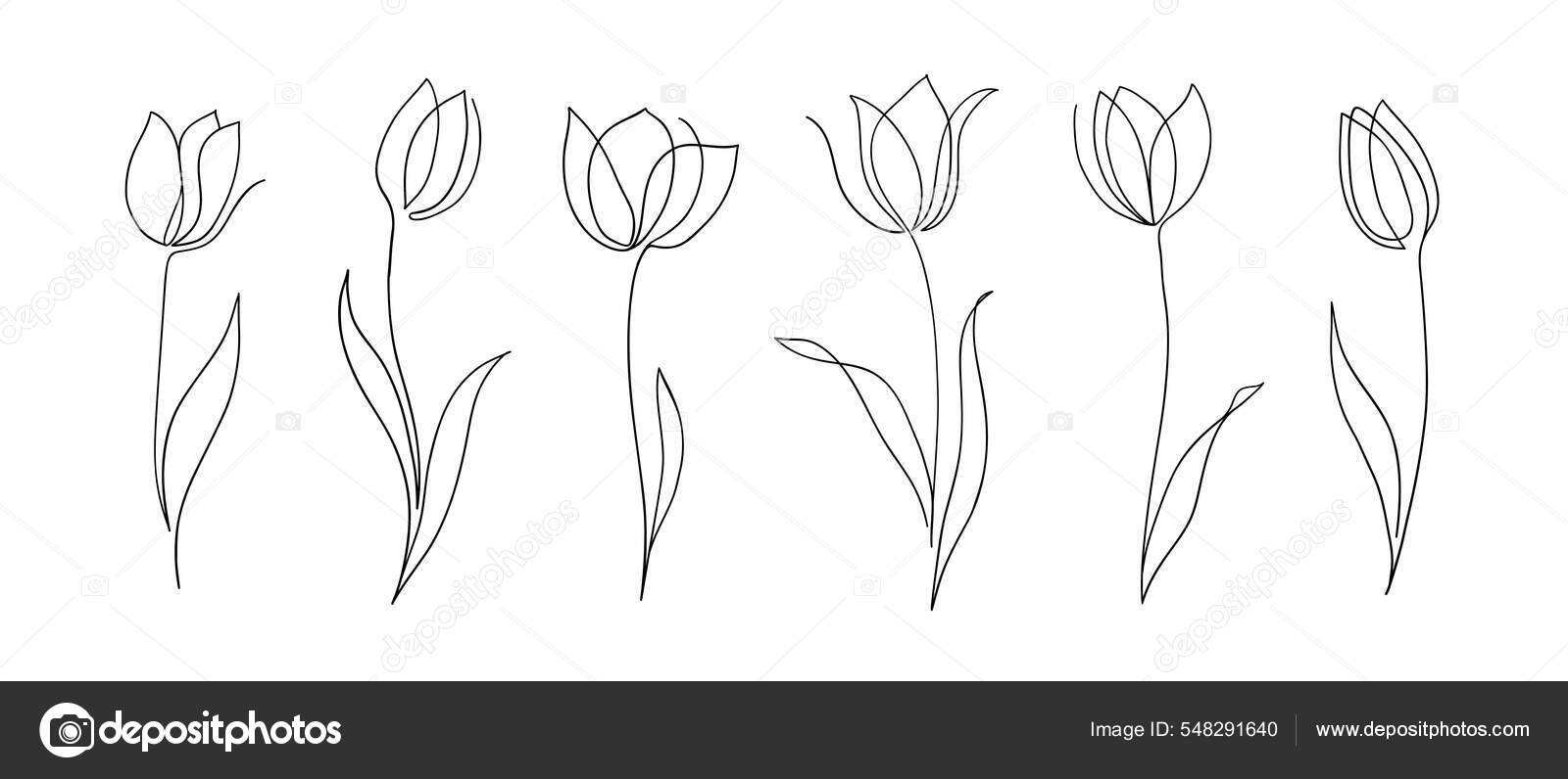 Set One Line Tulips Hand Drawn Contuor Drowing Spring Flowers Stock ...