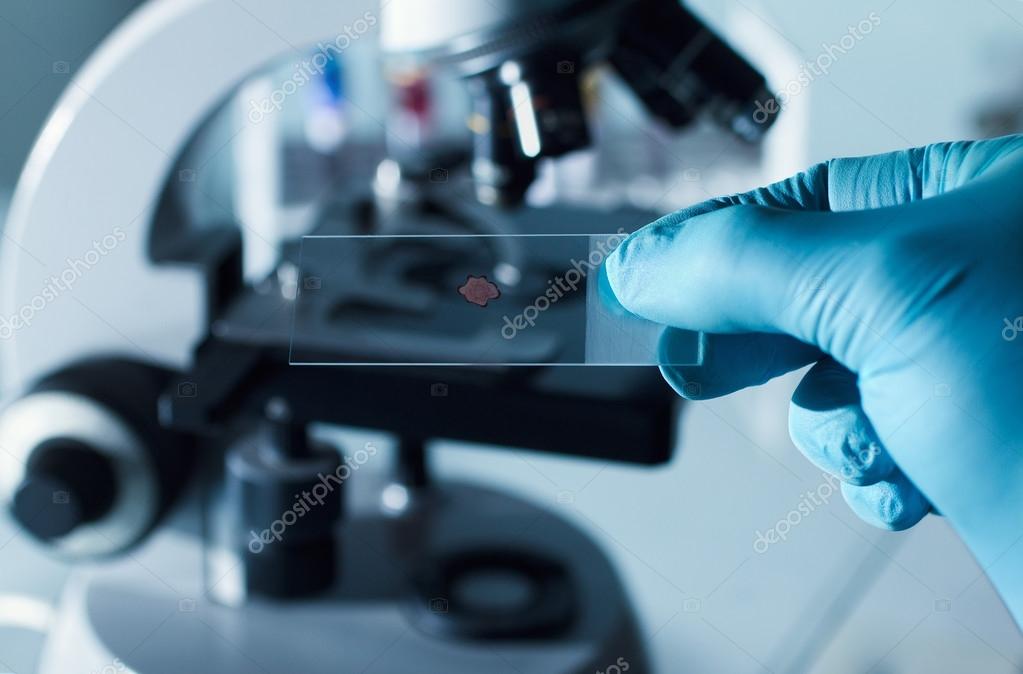 Test sample for microscope — Stock Photo © angellodeco #20429419