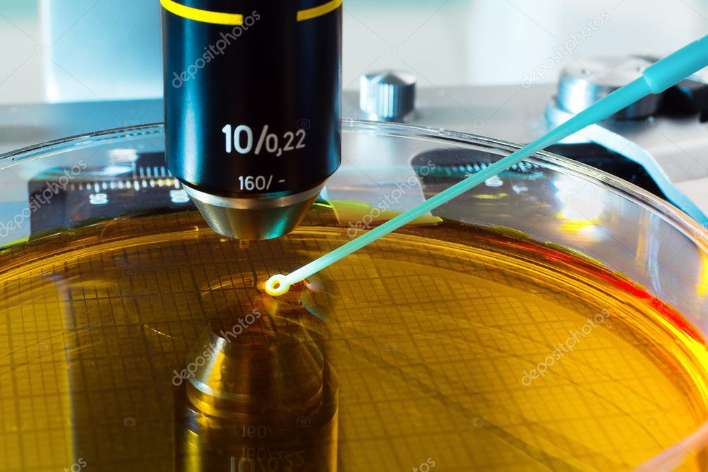 Plate on the microscope — Stock Photo © angellodeco #38924979