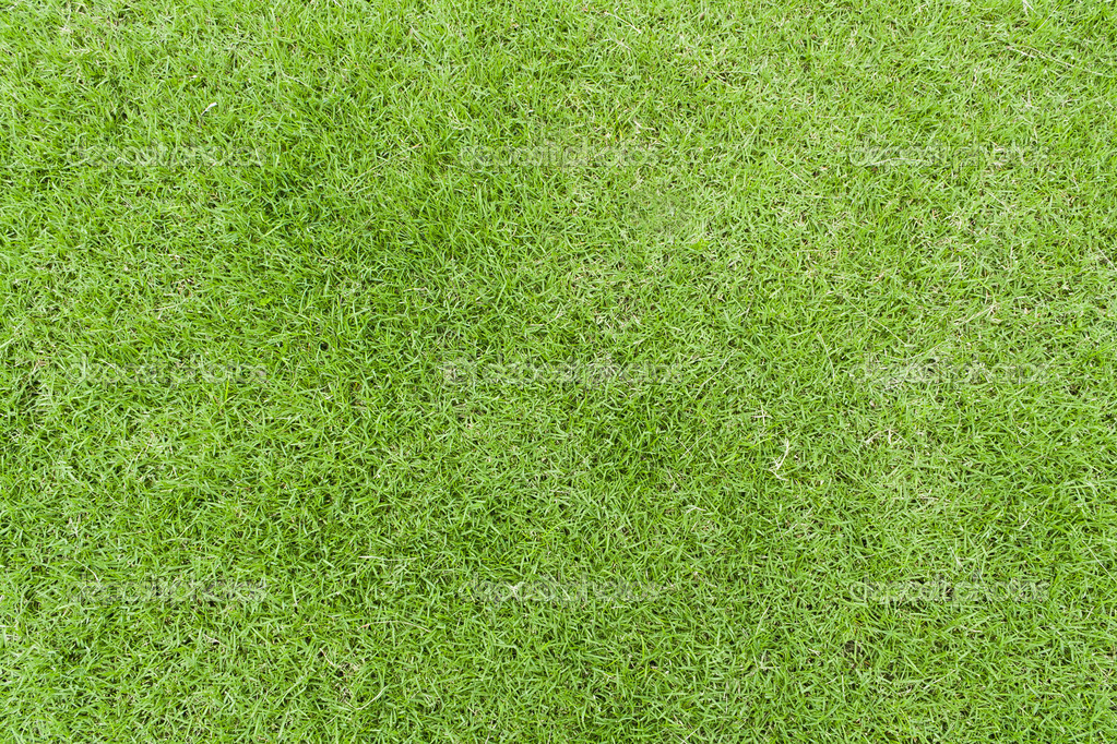Lawn green grass texture Stock Photo by ©kangshutters 34778495