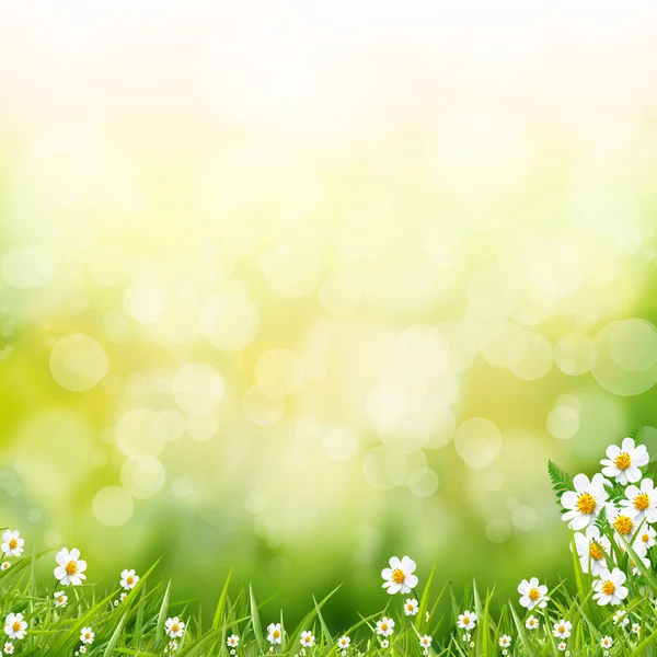 May background Stock Photos, Royalty Free May background Images ...